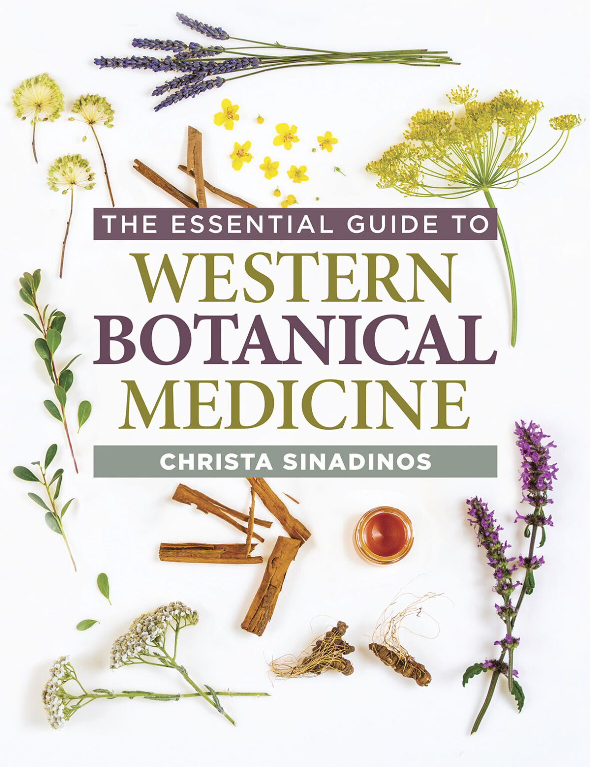 Fundamentals of Medical Herbalism Online Certificate – Apply Now ...